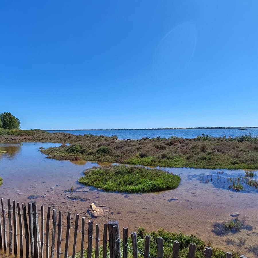 Les Aresquiers plage : nature sauvage proche de Frontignan | Le Patio 34
